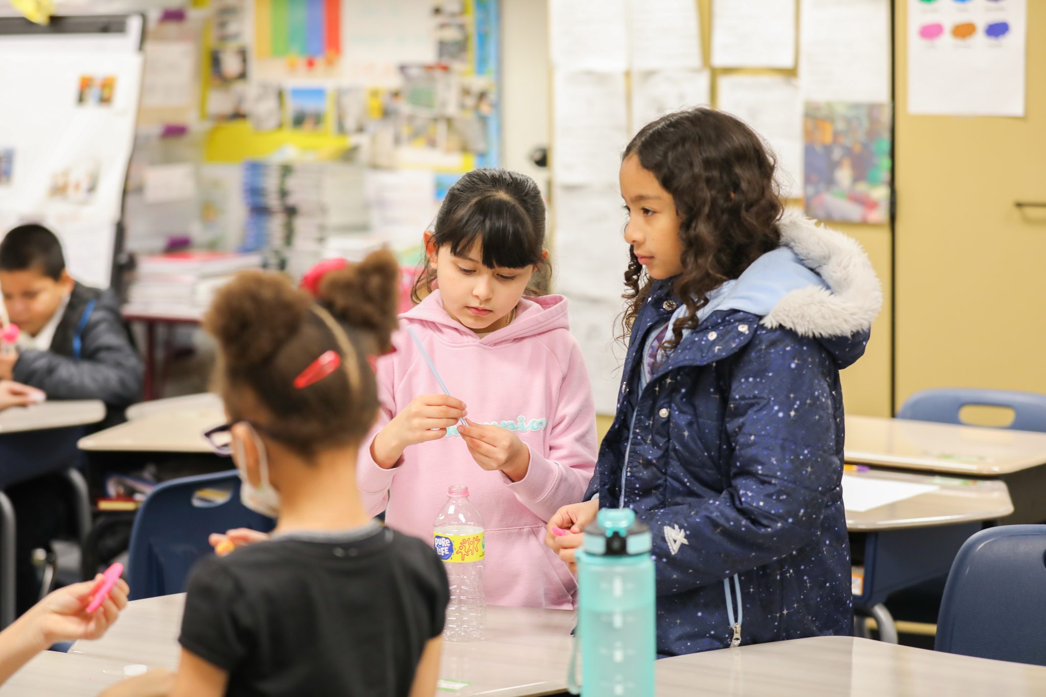 Place Bridge Academy » Multilingual Education Support